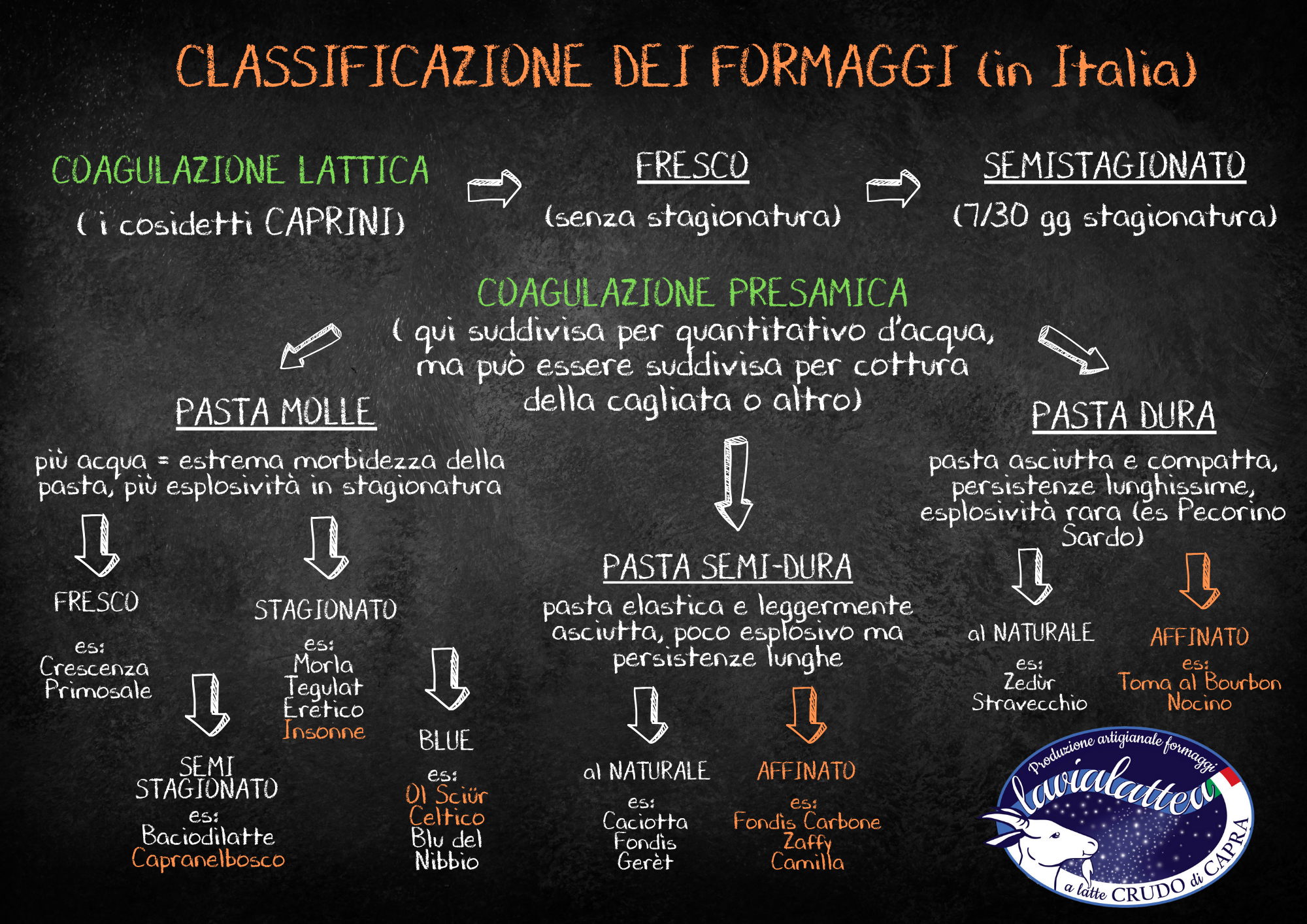 Classificazione dei formaggi – Caseificio Lavialattea